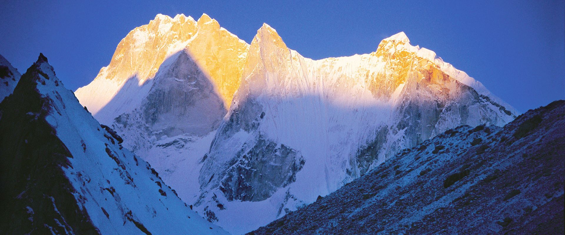 Wildlife Tour Package | All India Birding Tours